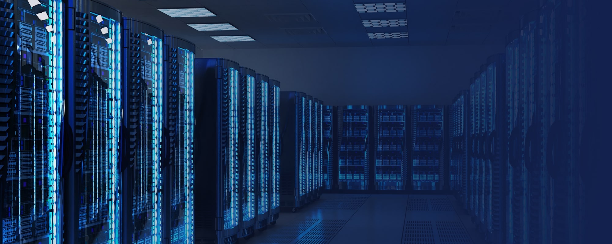 Empower your skills from Mazenet’s KALIDO Training Program